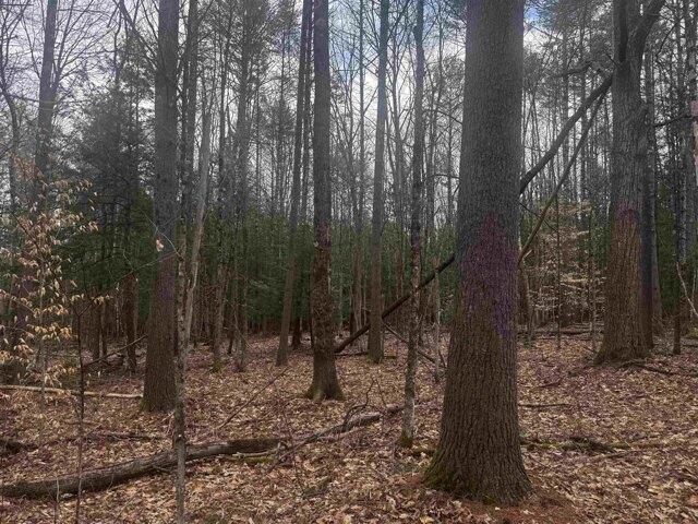 Chapman Rd, Keene, Plot For Sale