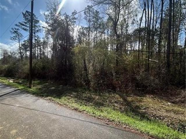 Chapmen Rd Lot D, Loranger, LA 70446