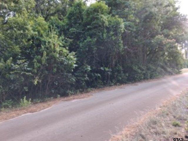 Chapparal Run, Murchison, TX 75778