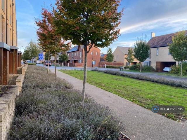 Charger Road, Cambridge, CB2 4 bed terraced house to rent £3,395 pcm £783 pw