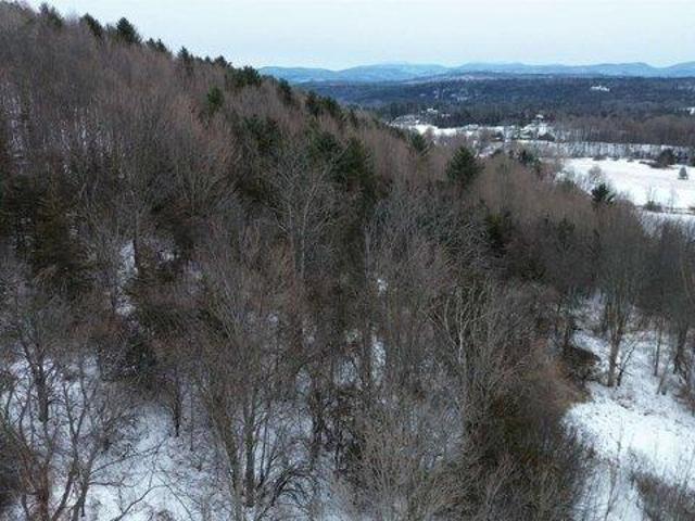 Charlotte VT 05445 LS101631262