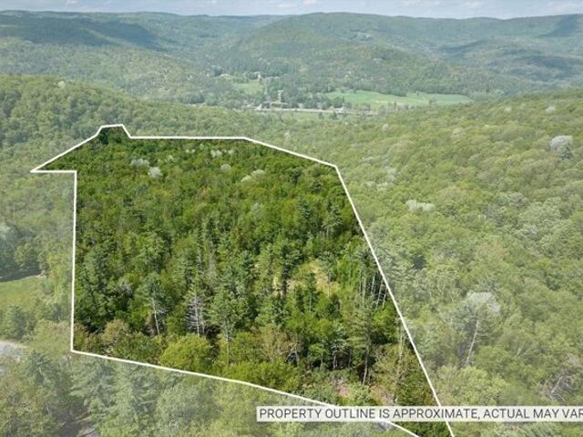 Charlemont Rd, Buckland, Plot For Sale