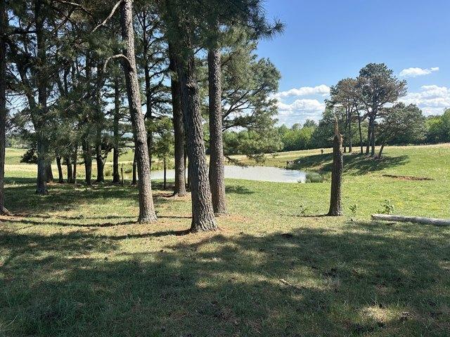 Charles Golden Rd, Sparta, TN 38583