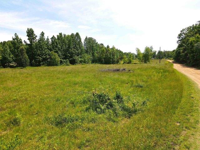 Charles Ward Way, Selmer, TN 38375