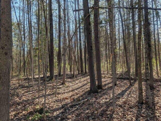 Charlestown Rd Lot /, Claremont, Plot For Sale