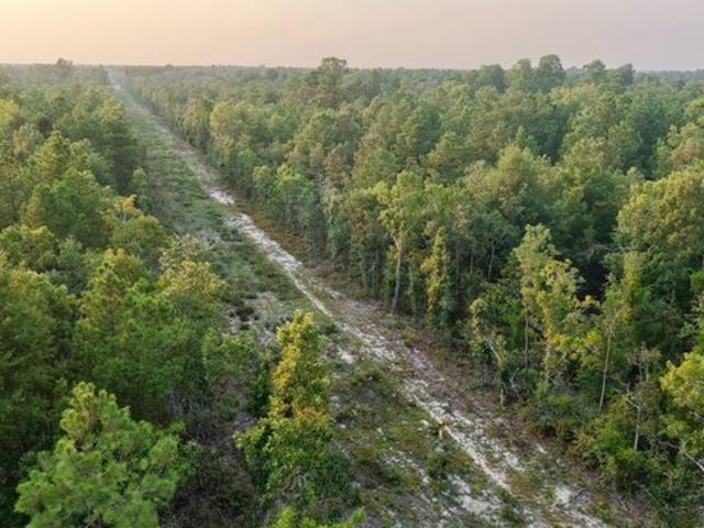 Charleston Hwy Unit C, Williston, SC 29853