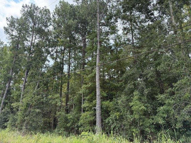 Charleston Hwy, Orangeburg, SC 29115