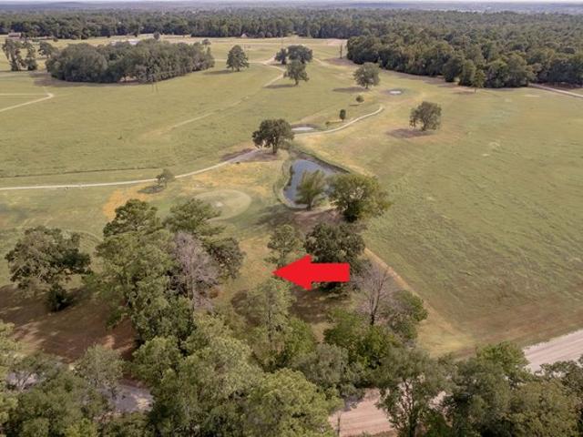 Charleston St Lot 2C, Trinity, TX 75862