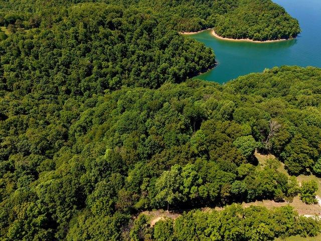 Charlie Melton Rd, Allons, TN 38541