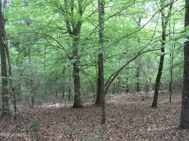 Charlie Boyd Road, Jayess, MS 39641