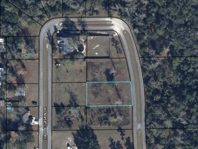 Charlie Gaskin Dr Lot 22, Wewahitchka, FL 32465