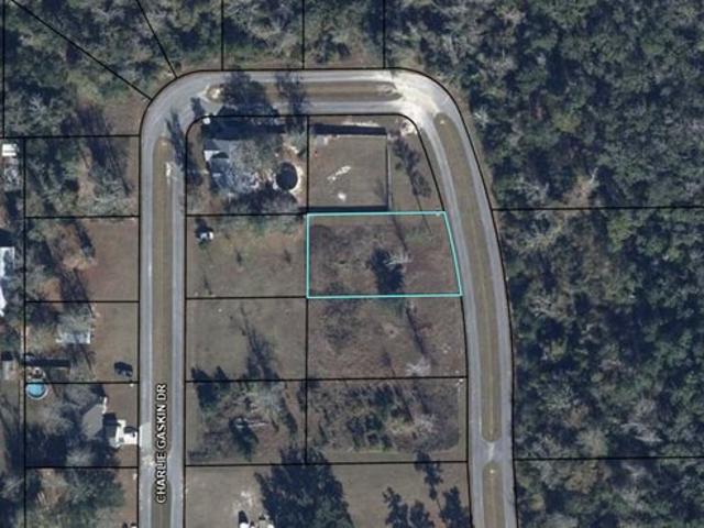 Charlie Gaskin Dr Lot 23, Wewahitchka, FL 32465