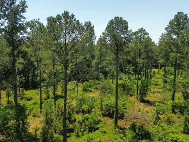 Charlie Williams Rd, Sardis, GA 30456