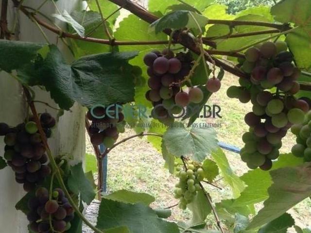 Charmosa Fazendinha de 23,5 ha com Linda e Simples Sede Centenária Porteira fechada