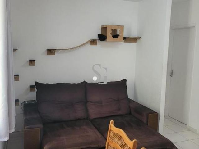 CHARMOSO APARTAMENTO EM CAMPINAS