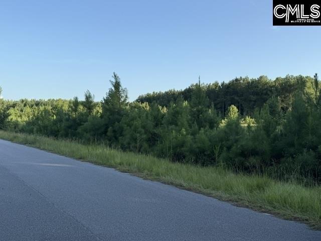 Charmaine Ln, Orangeburg, SC 29118