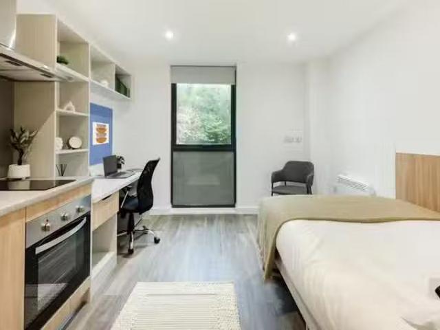 Nice 1 BA Studio flat for rent in Exeter Student September.