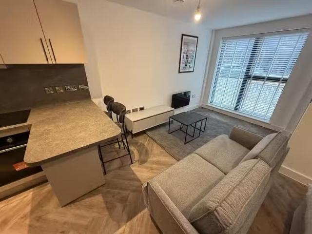 Cozy 1 BA Studio flat for rent in Weavers House, Castleward Bo.