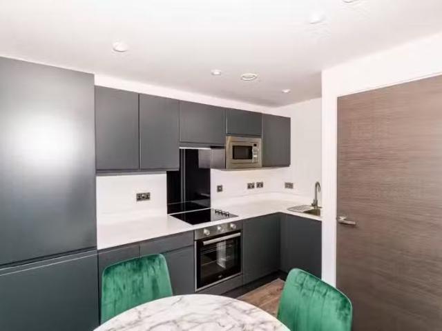 Nice 1 BA 1 bedroom apartment for rent in Parliament Street, L8