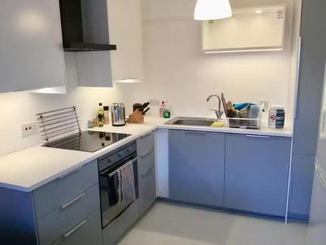 Cozy 1 BA 1 bedroom flat for rent in Old Snow Hill, short walk.