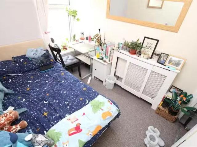 Unique 1 BA 1 bedroom house share for rent in Queen Street, Tr.