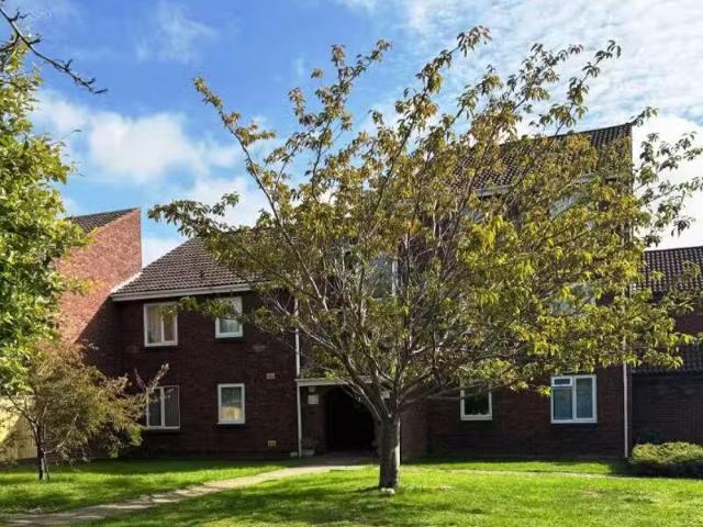 Unique 1 BA 2 bedroom ground floor flat for rent in Ground Flo.