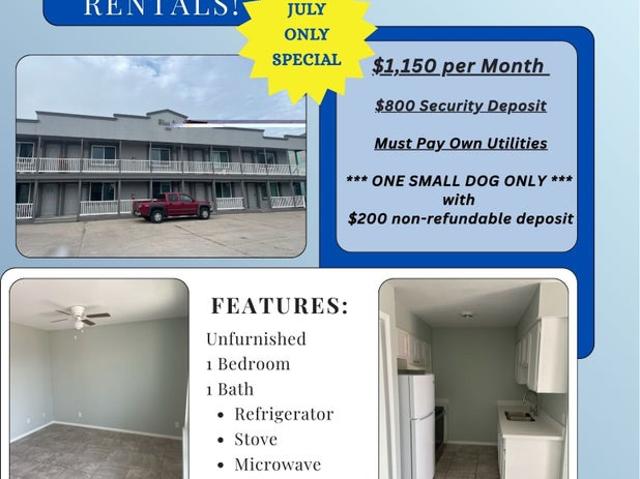 Charming 1 BedBath Condo #in South Padre Island_$m