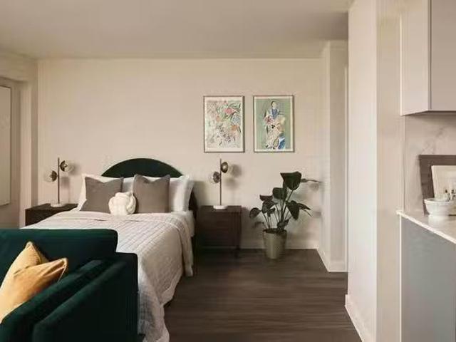 Cozy 1 BR Bloomery Place 24366# Studio