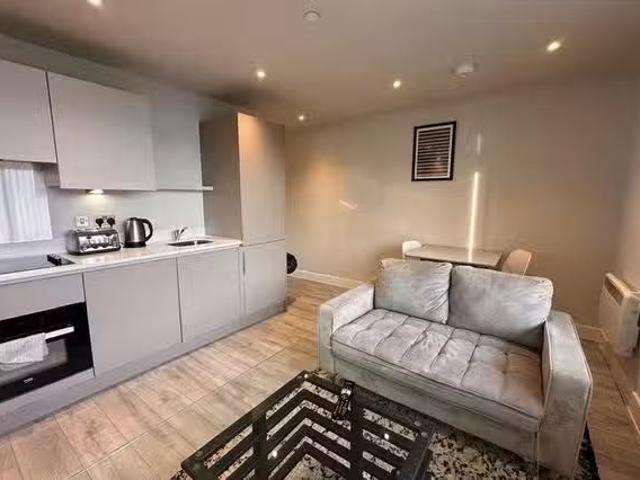 Unique 1 BR Wokingham Road