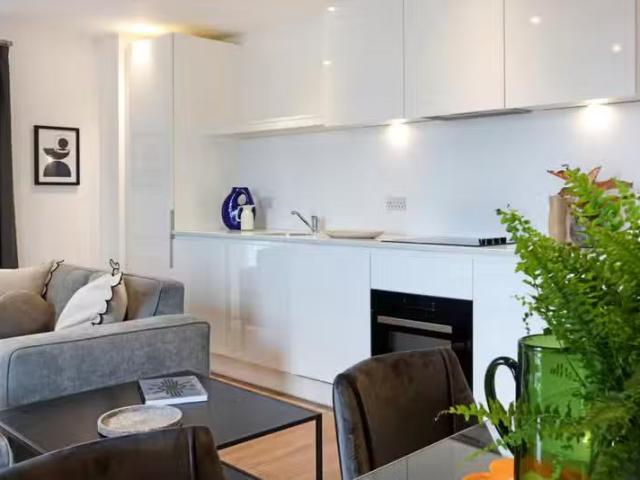 Unique 2 BA 2 bedroom apartment for rent in The Lansdowne, 25.