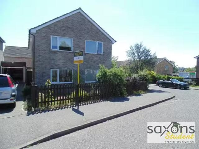 Just in! 2 BA 5 bedroom detached house for rent in Tangerine C.
