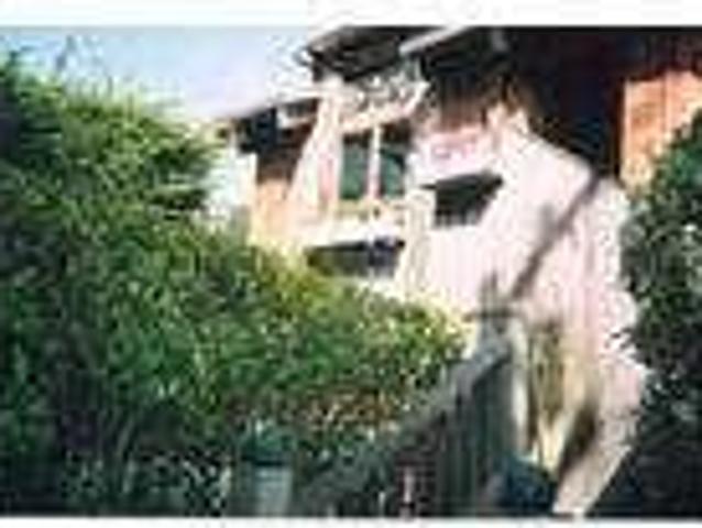 Charming 3BR 3BA Carmel center home