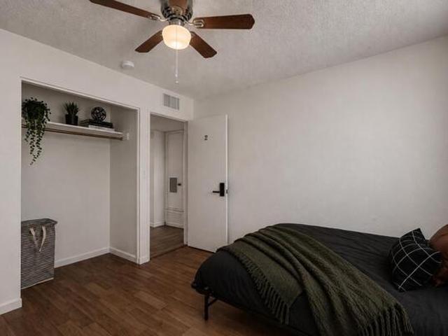 Charming Vintage Renovated Home Near Downtown Mesa – Close to Transit, Freeways & Stores! Experienced Host!