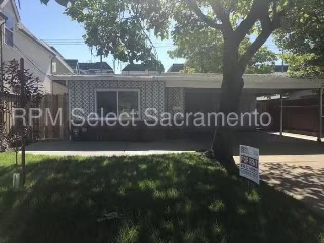 Charming fully updated 2 bed 1 bath duplex in Curtis Park 351.