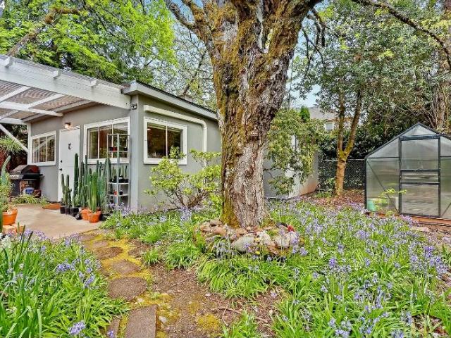 Charming Pet Friendly Fully Fenced Guest House wit