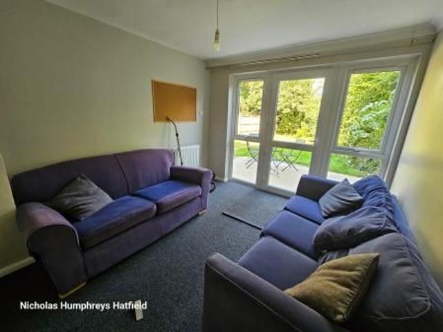 Cheviots, Hatfield, AL10