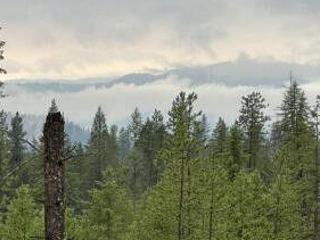 Chewelah, Stevens County, WA Undeveloped Land for sale Propert.
