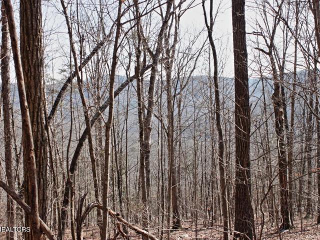 Cheynne Drive, Jamestown, TN 38556