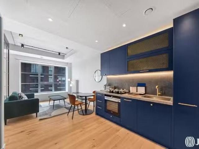 Nice 1 BA Studio apartment for rent in Douglass Tower, Good Lu.