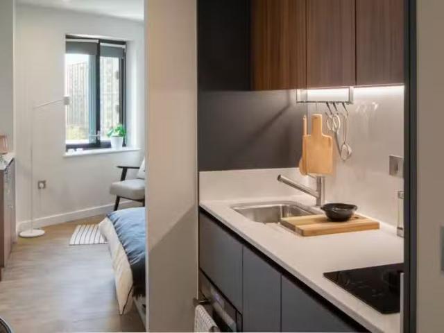 For Rent! 1 BA Studio flat for rent in Enclave: Croydon, Colle.