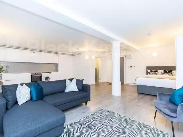 Cheap 1 BA Studio flat for rent in Springfield House lofts T.