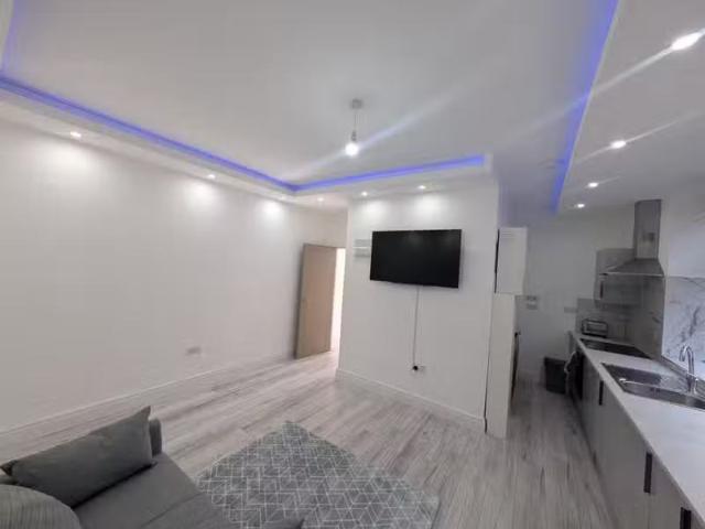 Unique 1 BA 1 bedroom apartment for rent in Flat, Woodfield H.
