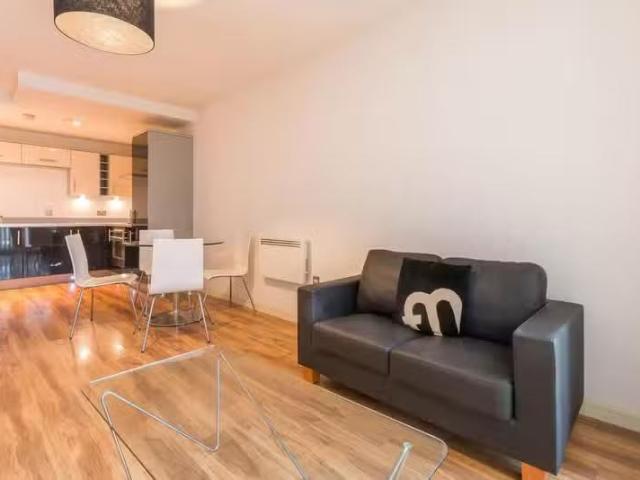 Cozy 1 BA 1 bedroom apartment for rent in Latitude, 155 Bromsg.
