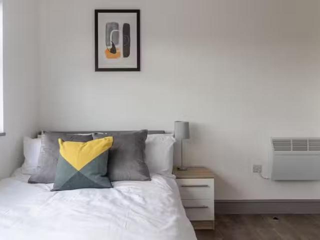 Charming 1 BA 1 bedroom apartment for rent in Saxon House, DE1