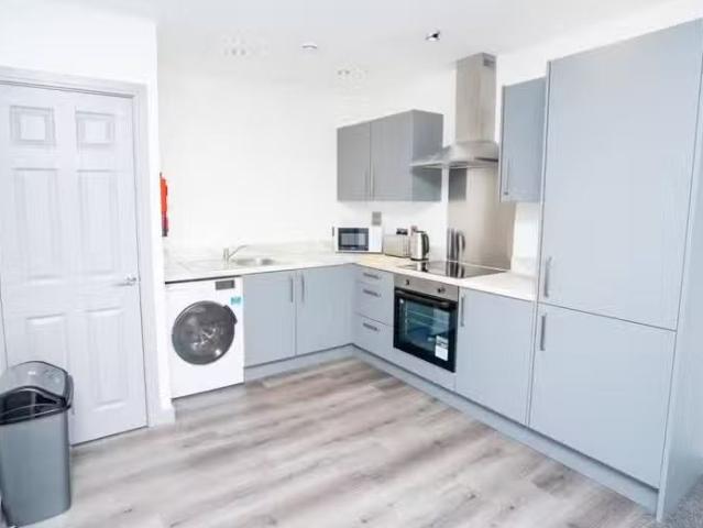 Unique 1 BA 1 bedroom apartment for rent in Prospect Hill, RED.