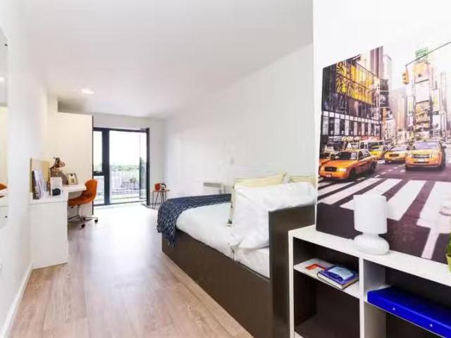 Cozy 1 BA 1 bedroom flat share for rent in Chester Student S.
