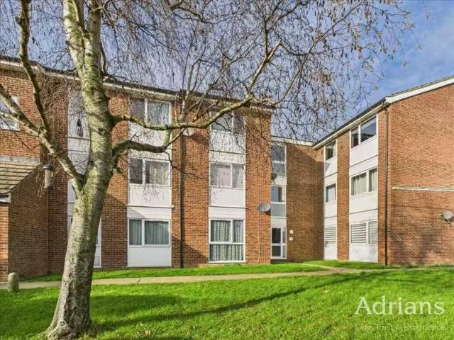 New 1 BA 2 bedroom flat for rent in Lupin Drive, Chelmsford, CM1