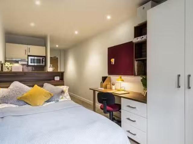 Cheap 1 BR Central Studios Classic Studio