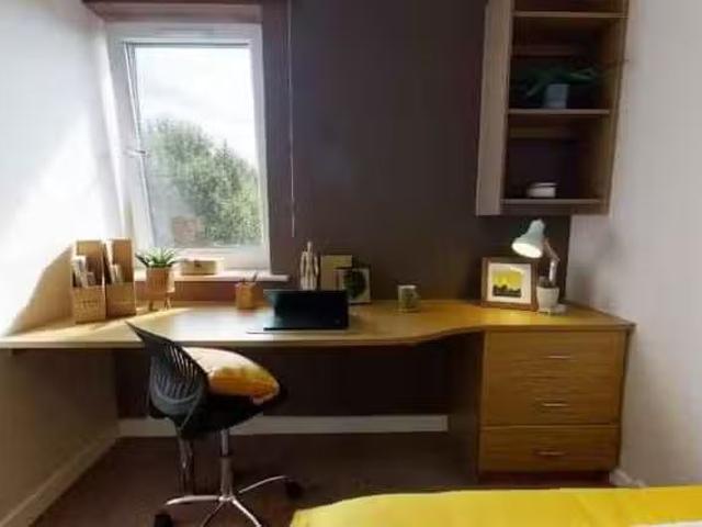 Cozy 1 BR Gold Studio Plus