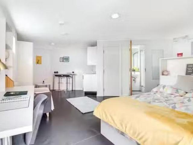 Just in! 1 BR Gold Studio